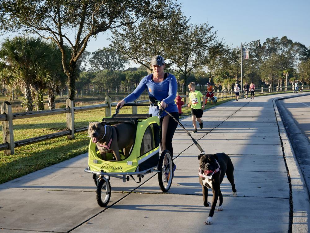 Commons Park Events Photo Gallery | Village of Royal Palm Beach Florida