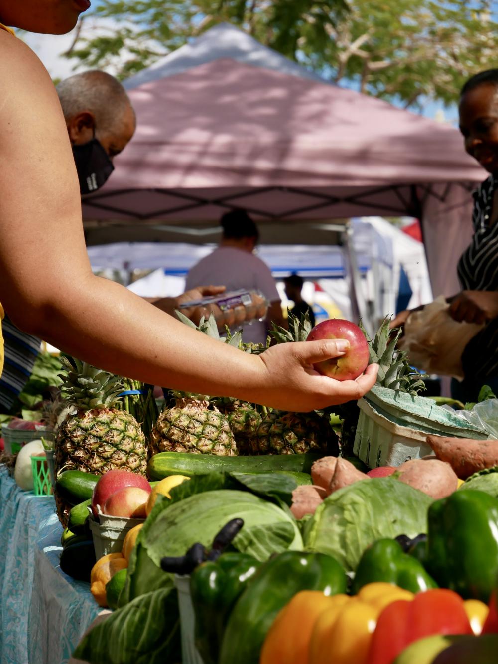 Green Market Photo Gallery | Village of Royal Palm Beach Florida