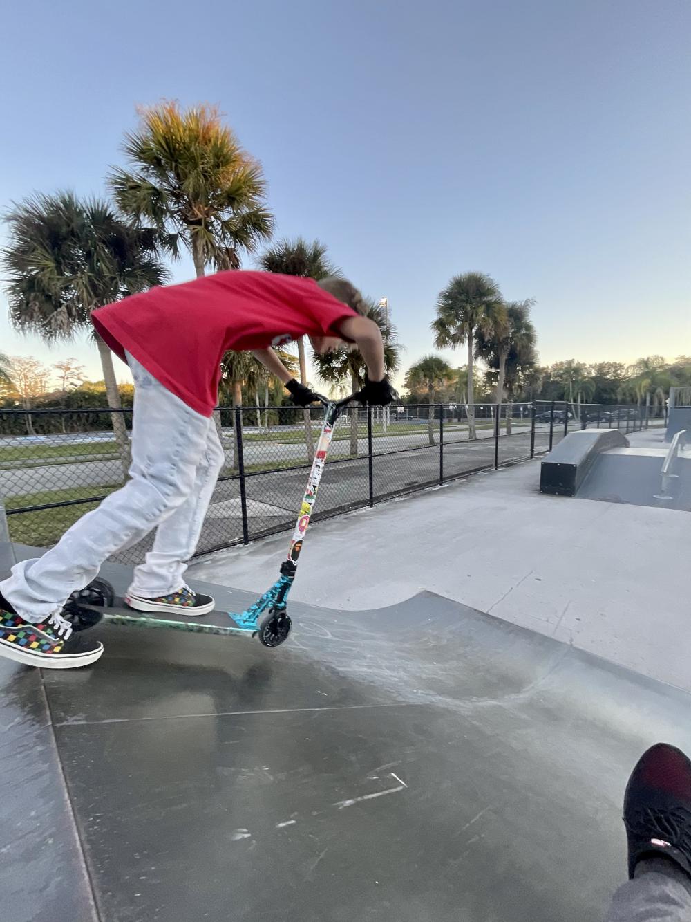 Skate Park Photo Gallery | Village of Royal Palm Beach Florida